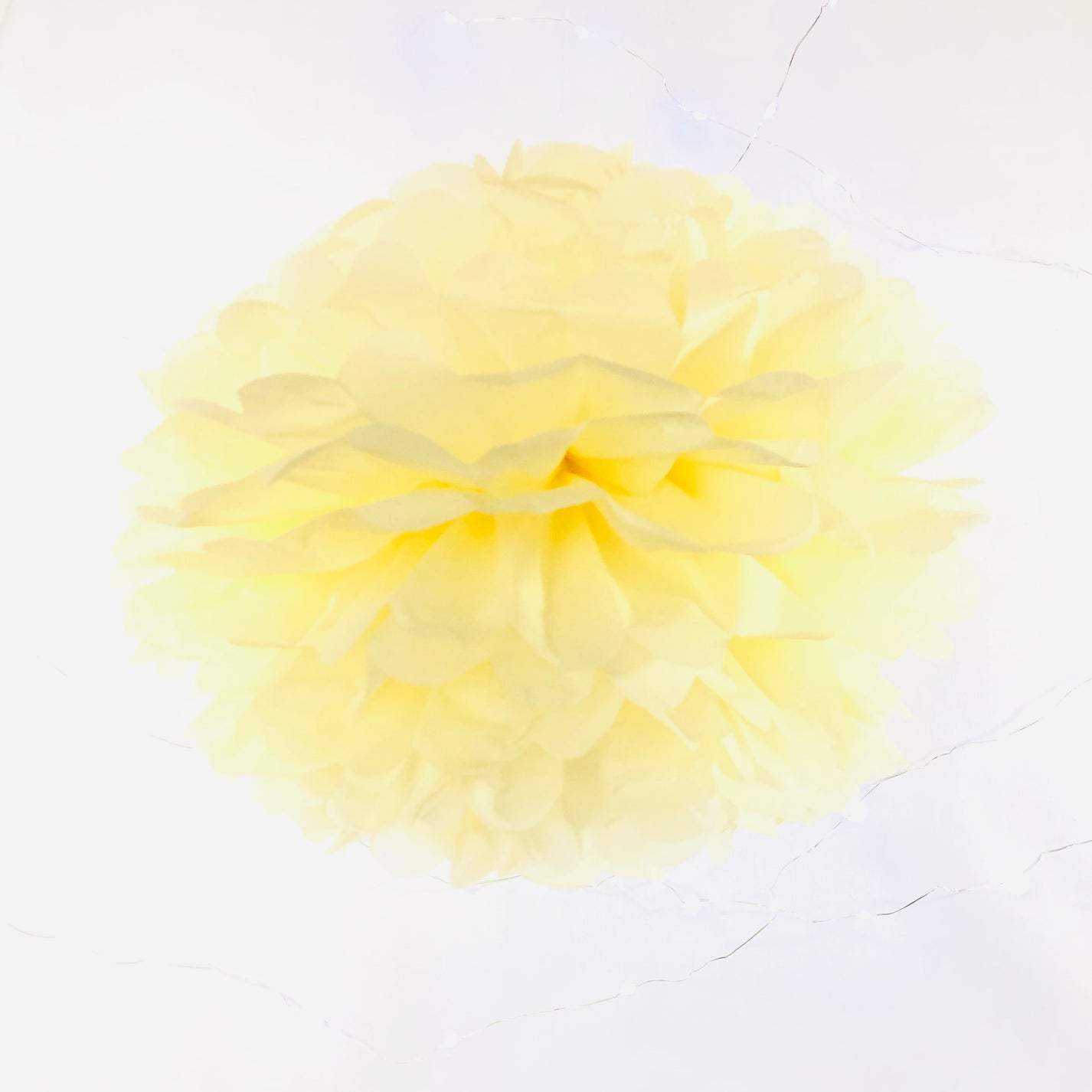 Nature Inspired Tissue Paper Pom Pom Sets – Handcrafted by Bel