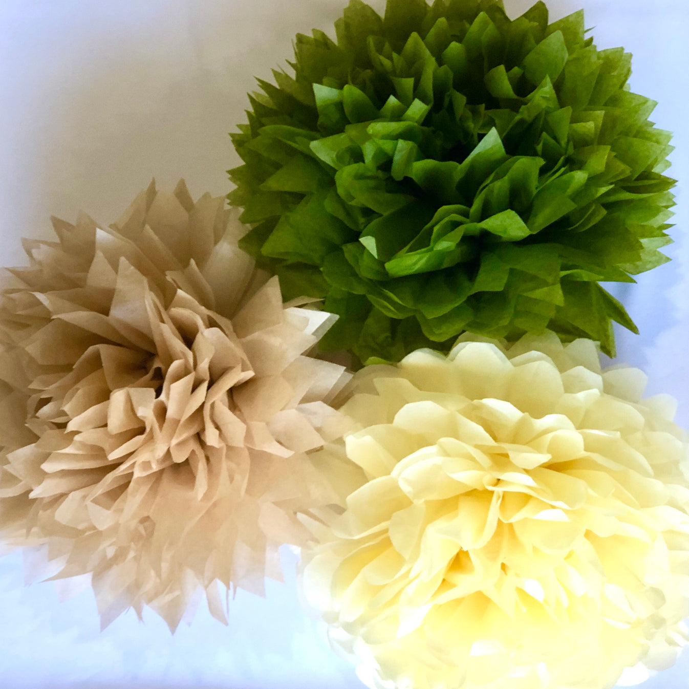 Nature Inspired Tissue Paper Pom Pom Sets – Handcrafted by Bel
