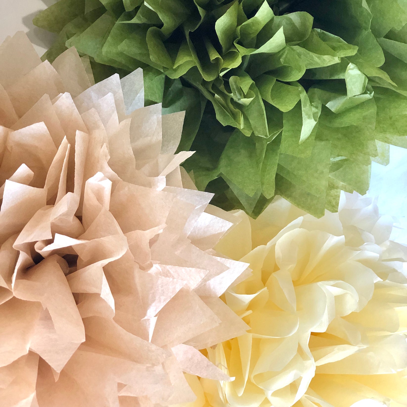 Nature Inspired Tissue Paper Pom Pom Sets – Handcrafted by Bel