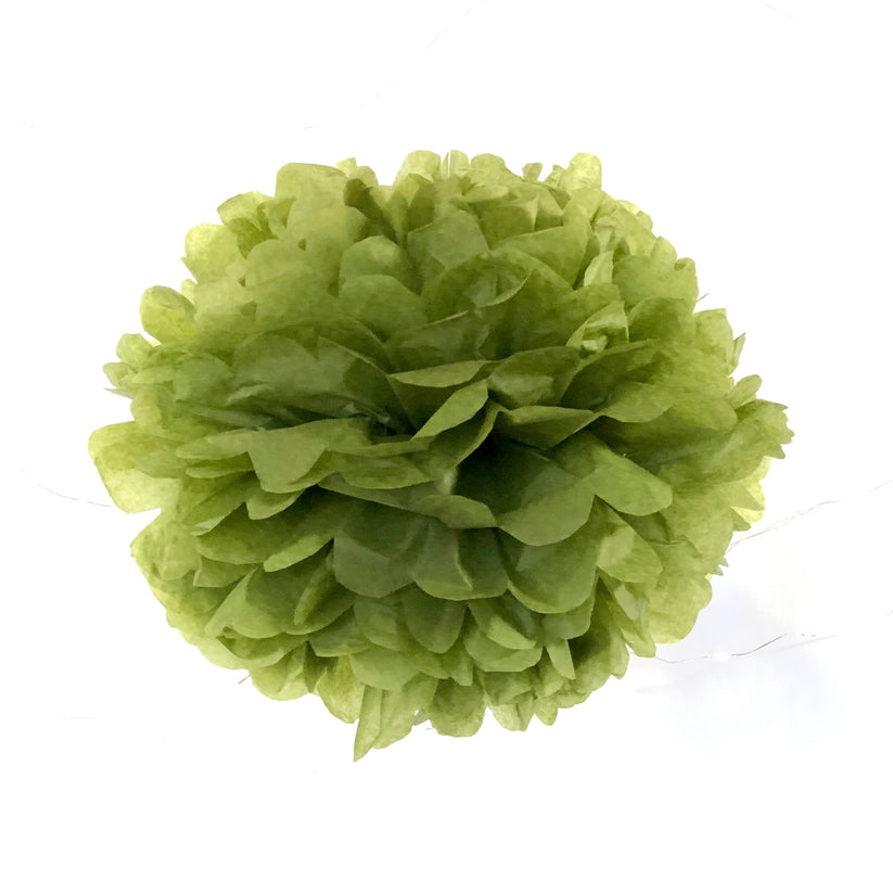 Nature Inspired Tissue Paper Pom Pom Sets – Handcrafted by Bel