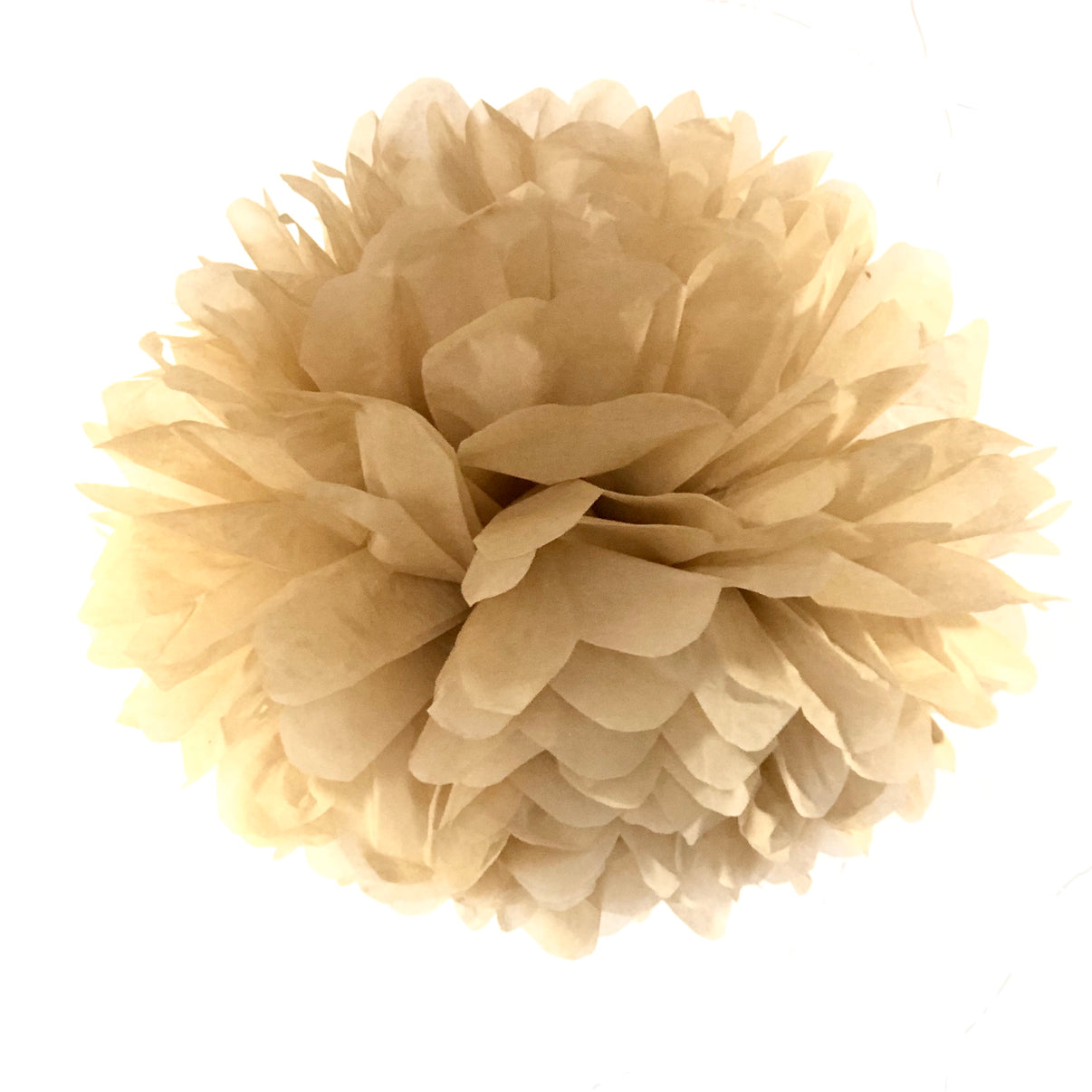 Nature Inspired Tissue Paper Pom Pom Sets – Handcrafted by Bel